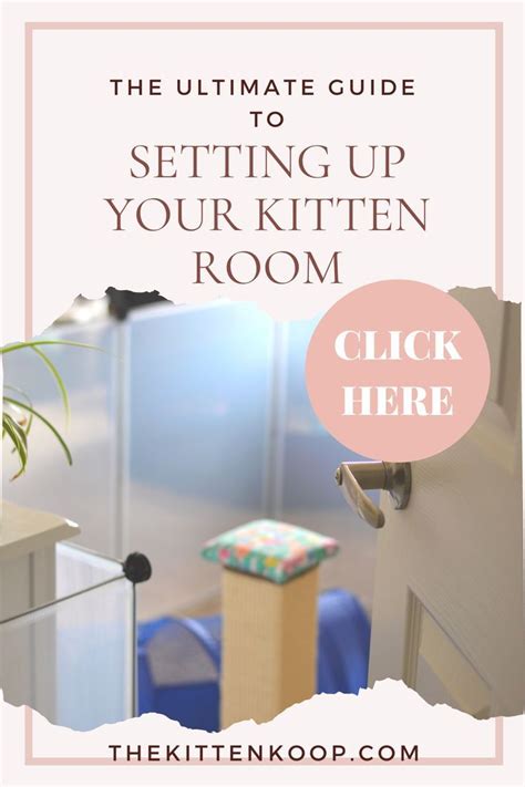 The Ultimate Kitten Room Setup Guide Room Setup Room Home Decor Decals