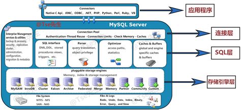 mysql体系结构与存储引擎 tse先生 博客园