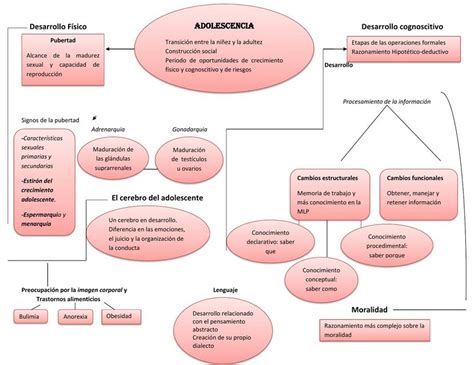 Elabora Un Mapa Conceptual Sobre Ser Adolescente Pensando Las Palabras