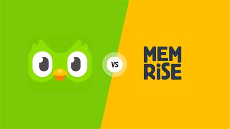 Memrise Vs Duolingo Which Language Learning App Is Better Langoly