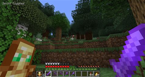 Toggle Sprint Display Minecraft Mod