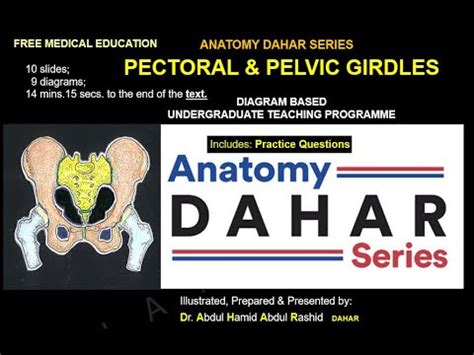 Pectoral Pelvic Girdles Anatomy Dahar Series Youtube
