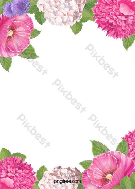 17 000 Free Flower Frames And Borders Templates Free Graphic Design
