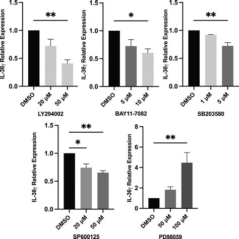 Treponema denticola Induces Interleukin 36γ Expression in Human Oral