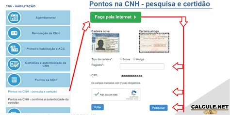 Detran SP Consulta Como Consultar Multas Pontos CNH IPVA