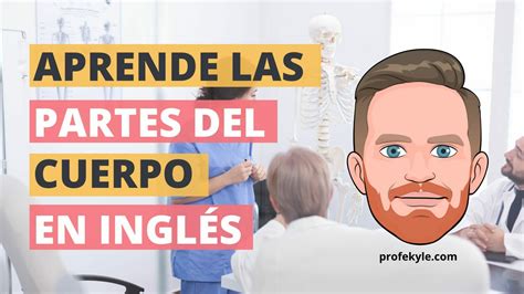 Aprende Las Partes Del Cuerpo En Ingl S Con Oraciones De Ejemplo