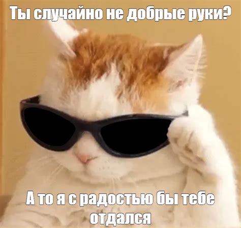 Мем Ты случайно не добрые руки А то я с радостью бы тебе отдался