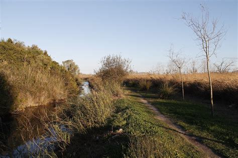 La Ruta De La Muntanyeta Verda En El Parque Natural De La Marjal Pego Oliva