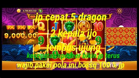 Room Dragon Jp Kepala Ijo Tembus Ujung Pola Room Jp Dragon Hari