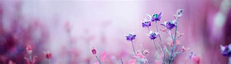 Spring 5120x1440 Wallpapers Wallpaper Cave