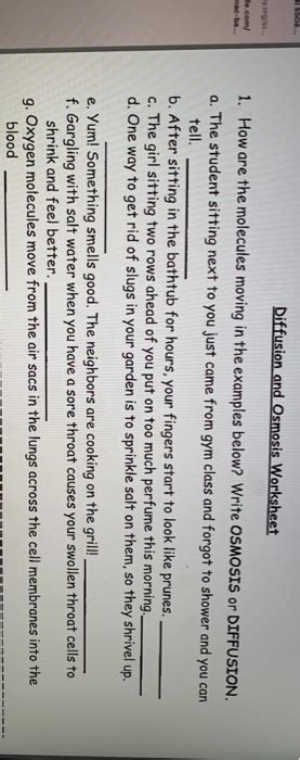 Solved Diffusion And Osmosis Worksheet Y Org Le How Chegg
