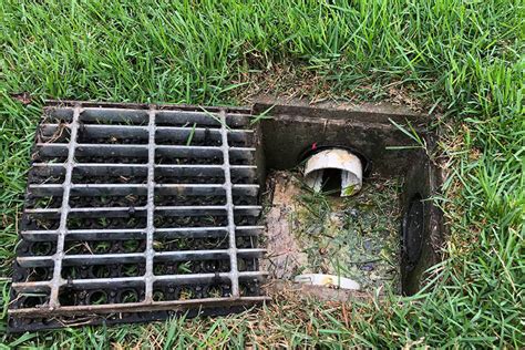 Types Of Landscape Drains Drainage Systems In Houston TX