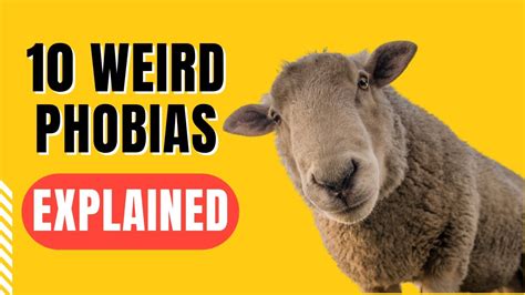 10 Unusual Phobias You Never Knew Existed YouTube