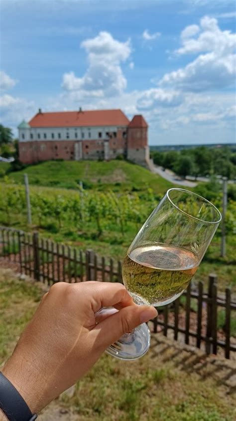 Winnice Sandomierz 5 najlepszych miejsc na wycieczkę VeloWino