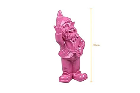 Statue Rose Nain De Jardin Doigt D Honneur 30cm