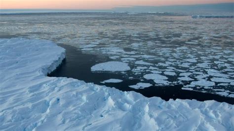 Cambio climático por qué el mundo está en una etapa crucial para su