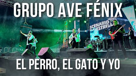 El Perro El Gato Y Yo Grupo Ave F Nix En Vivo En Los Mochis Youtube