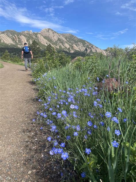 How To Spend One Day In Boulder Colorado Seen By Amy In 2024 Day