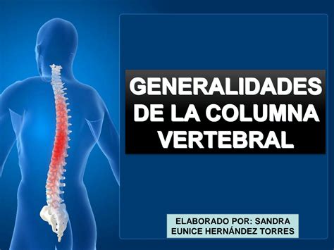 Solution Exposicion Columna Vertebral Anatomia Studypool