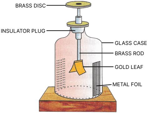 Draw A Labelled Diagram Of A Gold Leaf Electroscope And KnowledgeBoat