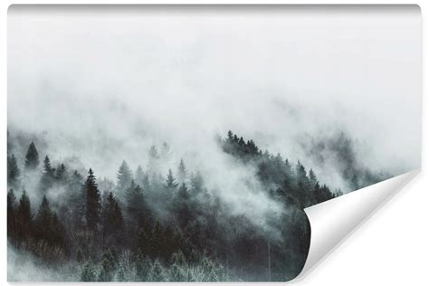 Fototapeta Ścienna Drzewa LAS WE MGLE Natura Pejzaż Efekt 3D 368x254