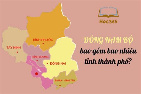 Chi Ti T Nh T Ng Nam B Bao G M Bao Nhi U T Nh Th Nh Ph