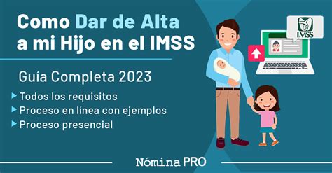 Como Dar de Alta a mi Hijo en el IMSS Guía Completa