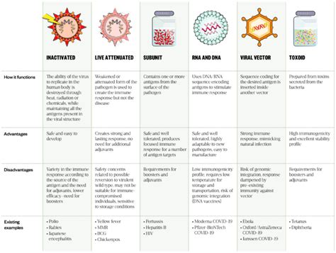 Understanding MRNA Vaccine Technologies The Pharmaceutical Journal