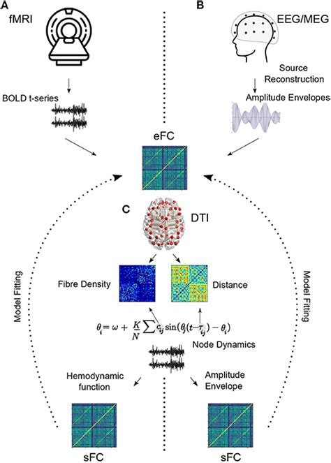 Frontiers Whole Brain Network Models From Physics To Bedside