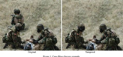 figure 1 from a review on copy move forgery detection techniques based on dct and dwt semantic