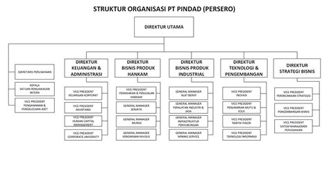 Struktur Organisasi Pt Kai