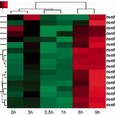 Heatmap And Cluster Dendrogram Of Differentially Expressed Mirnas