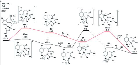 Gibbs free energy profile for the two possible pathways of β carbon