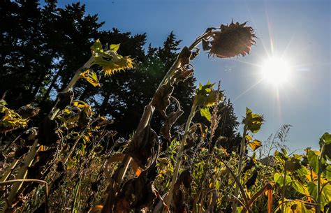 Météo Vaucluse pourquoi la vigilance canicule est enfin levée