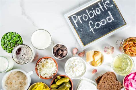 Alimentos probióticos naturales para incluir en tu alimentación 2024