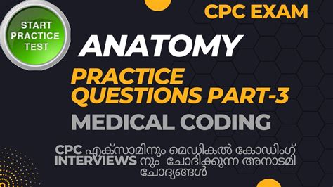 Anatomy Practice Questions Part Medical Coding Youtube