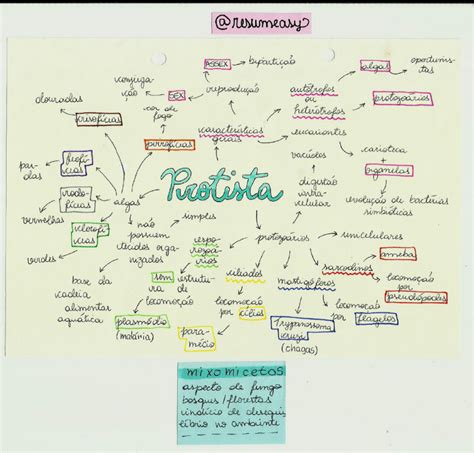 Reinos Resumos E Mapas Mentais Infinittus
