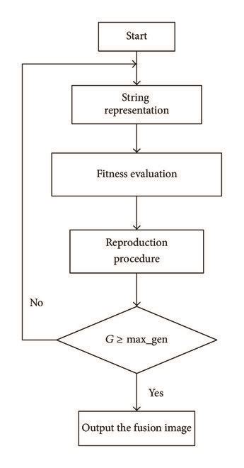 the flowchart of evolutionary algorithm download scientific diagram