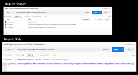 Step By Step Guide For SSO Flow PhonePe Dev Docs