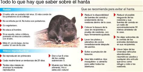 Recomendaciones para la prevención del contagio de hantavirus Cutral