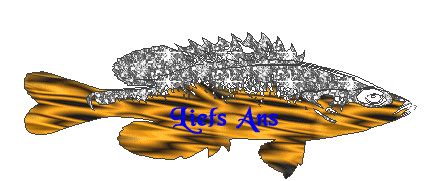 Animado Ans A Nombres Gifgifs The Best Porn Website