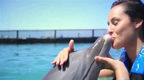 Dolphin Discovery Tv Spot Life Is Beautiful Song By Tim Mcmorris