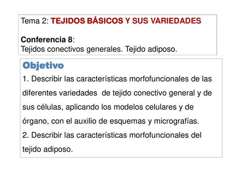 Tejidos Conectivos Generales Tejido Adiposo Aliovys Caltona La Rosa
