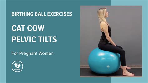 Pregnancy Ball Exercises Cat Cow Pelvic Tilts Youtube