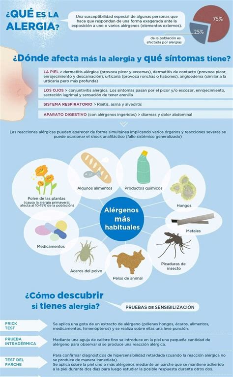Qué es la alergia y como saber si eres alérgico Infografías y Remedios