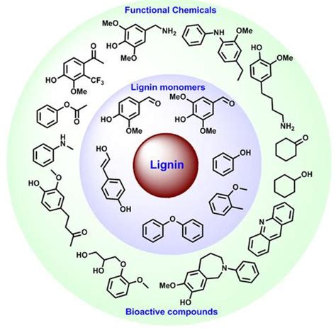 木质素衍生单体通过选择性有机转化合成功能化学品 Advanced Synthesis Catalysis X MOL