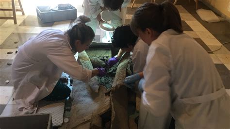 Importantes novedades sobre el sarcófago romano de plomo hallado en