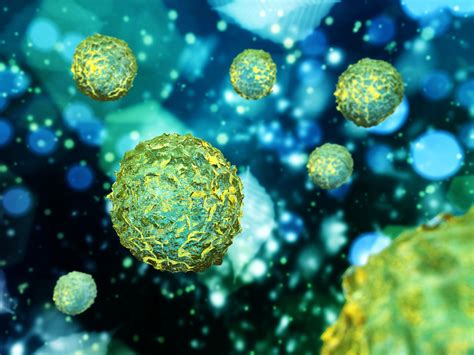 What Is CHIP Understanding Clonal Hematopoiesis Of Indeterminate