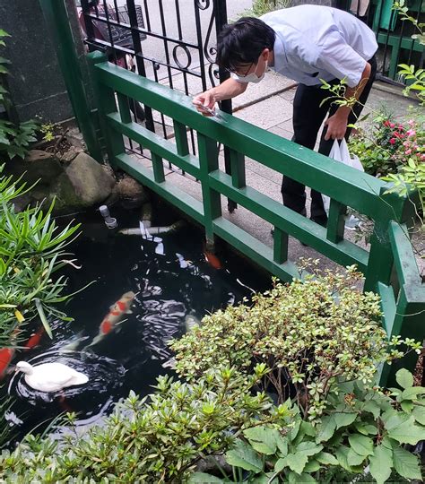 栄盛湯 on Twitter 福音 京都ハリストス正教会Kyoto Orthodox 副輔祭様が直々にお持ち下さいました