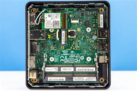 Cheese Original Shackle Intel Nuc 13th Gen Tremble Mute Pollinator